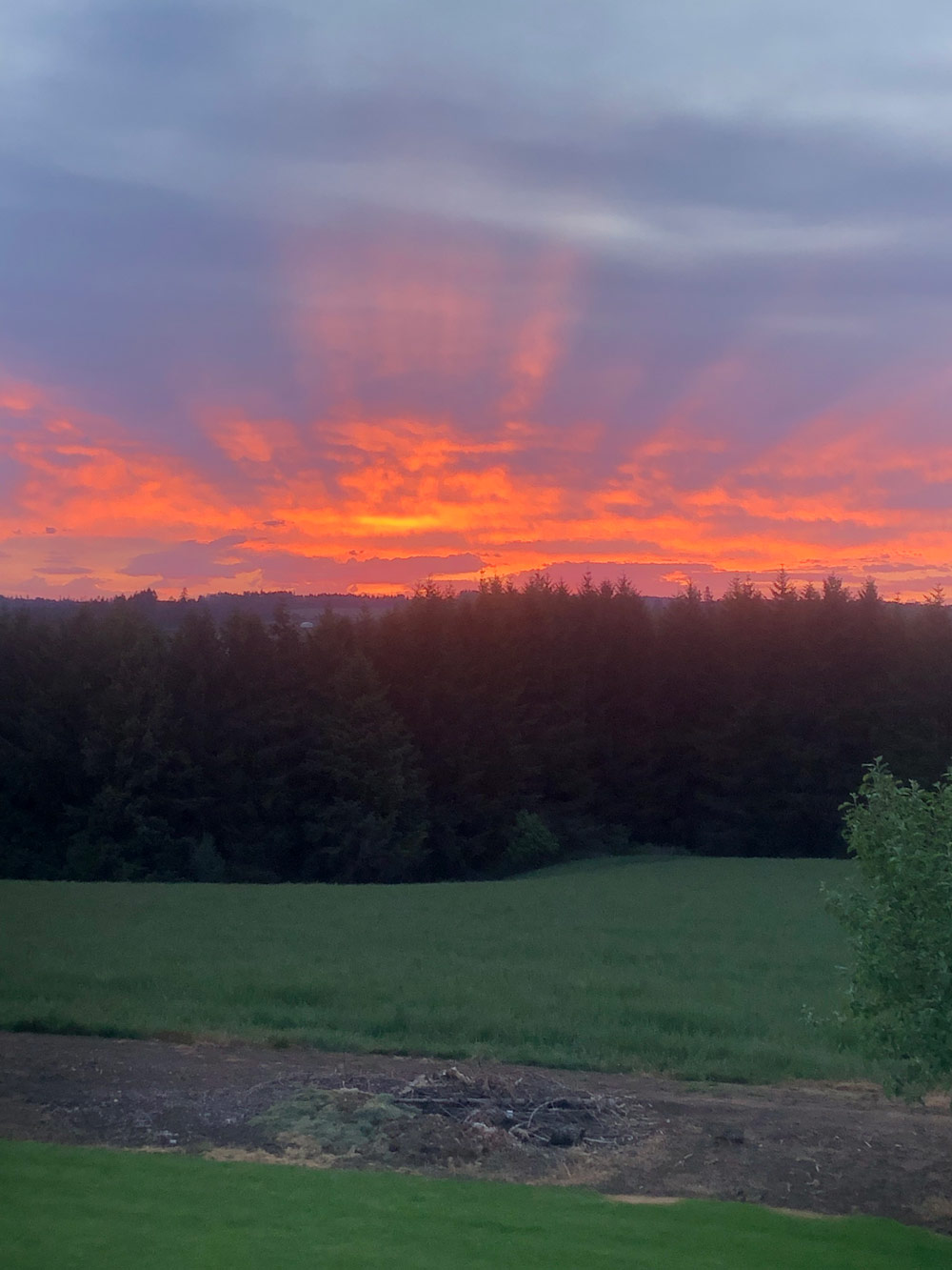 Gallery - Victor Point Farms